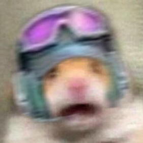 CAVIERA 