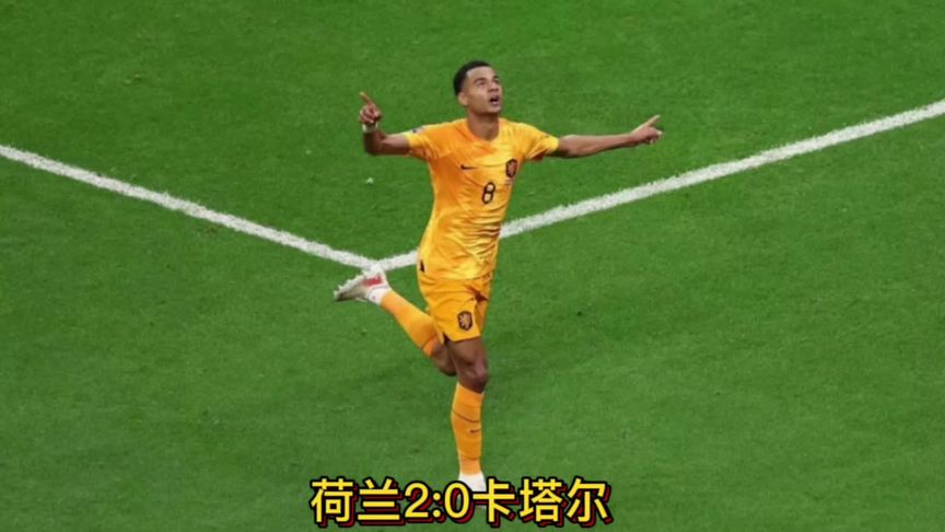 荷兰2:0卡塔尔 小组头名晋级16强#上抖音看2022世界杯