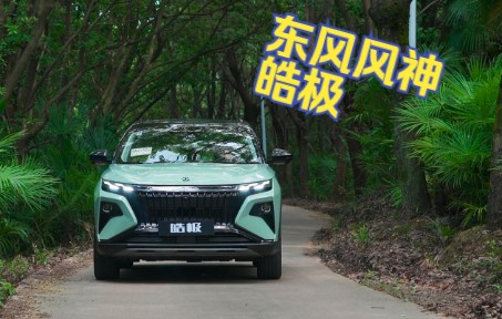 【视频】13万级混动SUV成“爆款” 皓极全国预售抢鲜体验