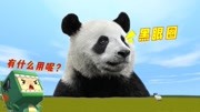 迷你世界:大熊猫的两个黑眼圈到底有什么用呢?没想到用处这么多