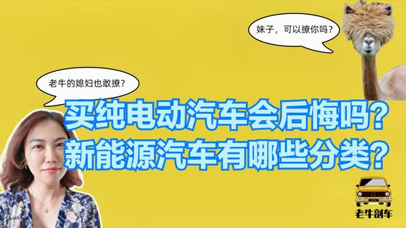 买纯电动汽车会后悔吗?新能源汽车有哪些分类?