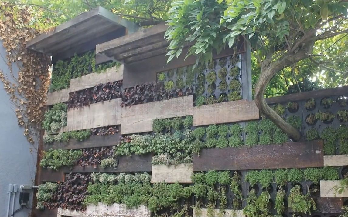 盆组式植物墙安装全过程,看后你也会做
