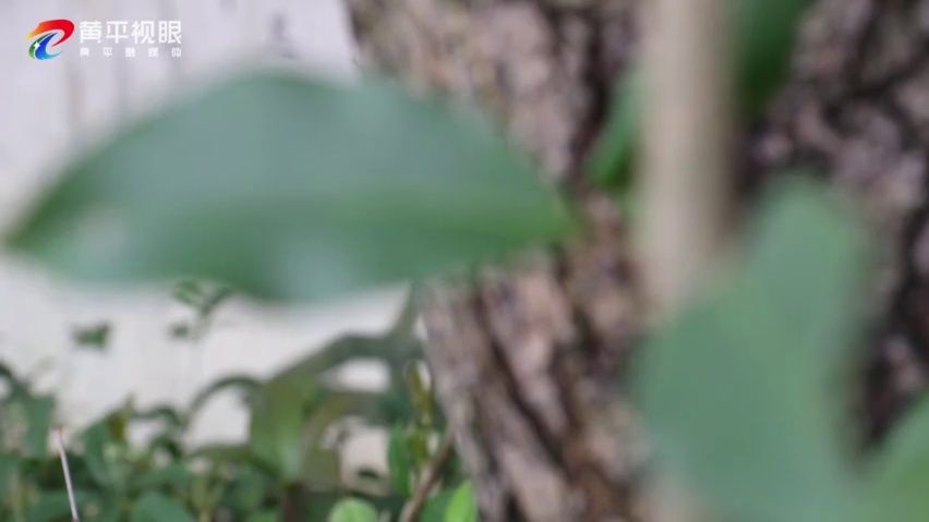黄平警方破获一起利用微信群冒充老师诈骗学生家长案