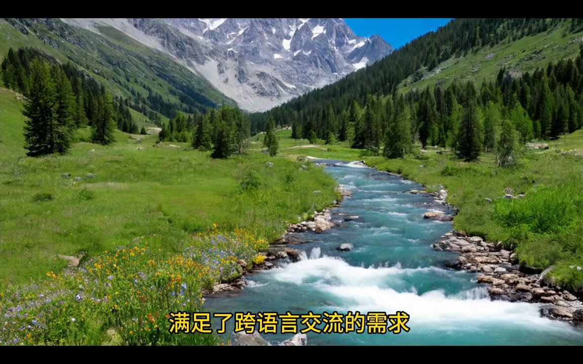 GPT自诉发展历程及未来展望#chatgpt应用领域 #人工智能 #原创视频 #...