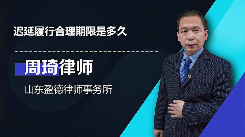 迟延履行合理期限是多久