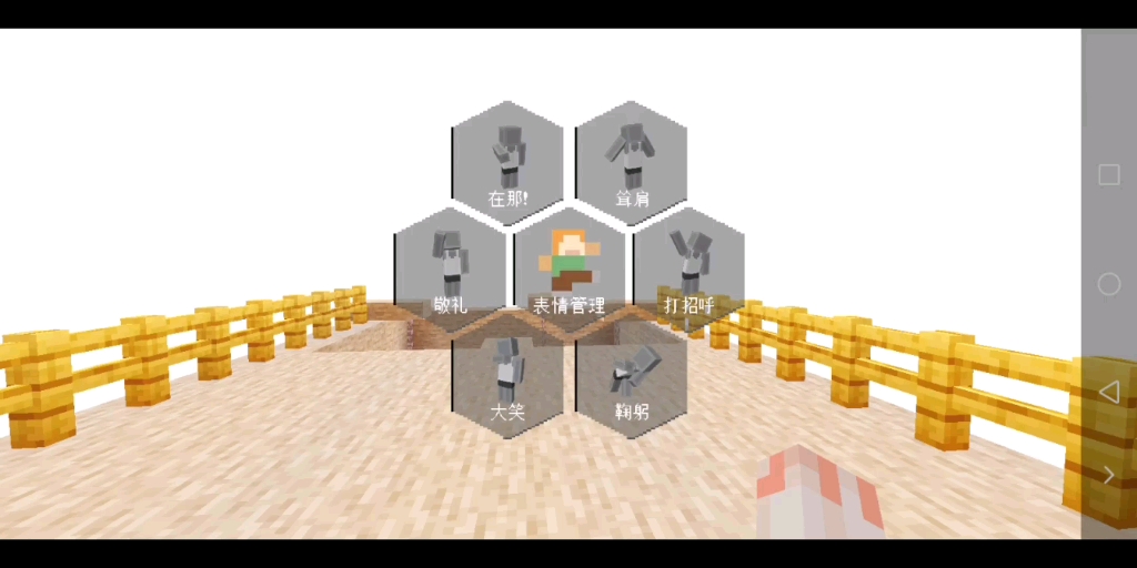 我的世界网易版后室