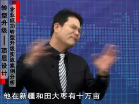 臧其超-转型升级 顶层设计 企业成功转型升级实战案例分析 (16)