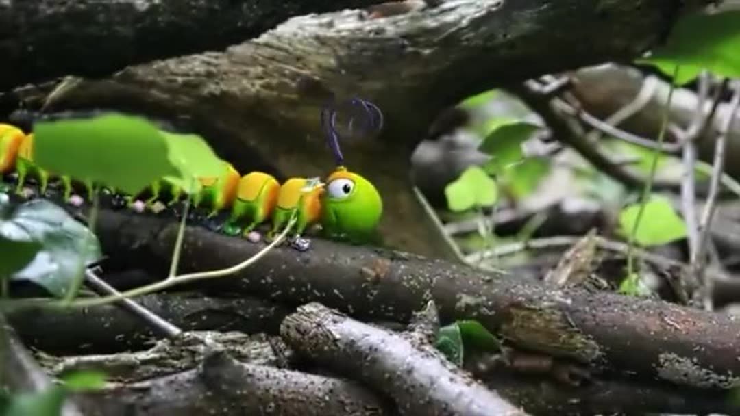 毛毛虫鞋-有趣的昆虫动画