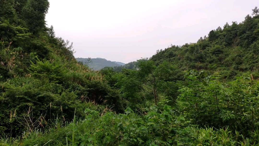 山间美景,重重叠叠的山