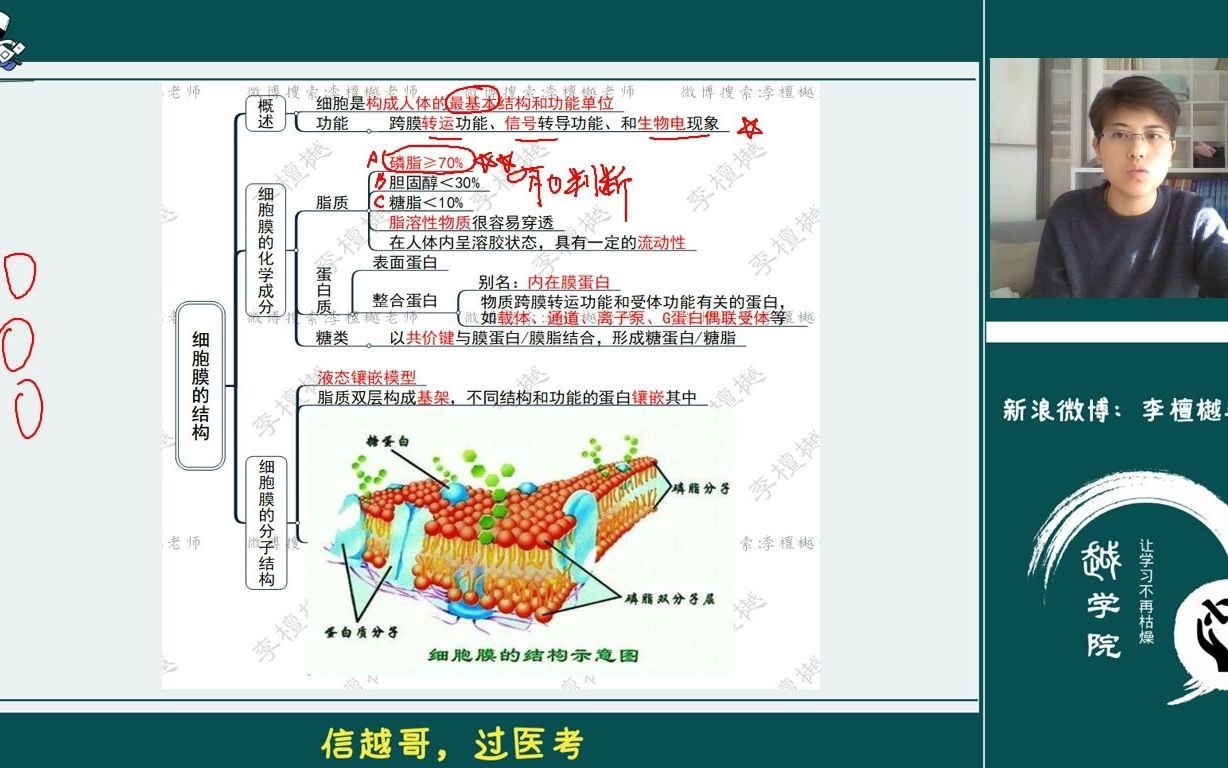 生理学高分计划5:细胞膜的结构和功能
