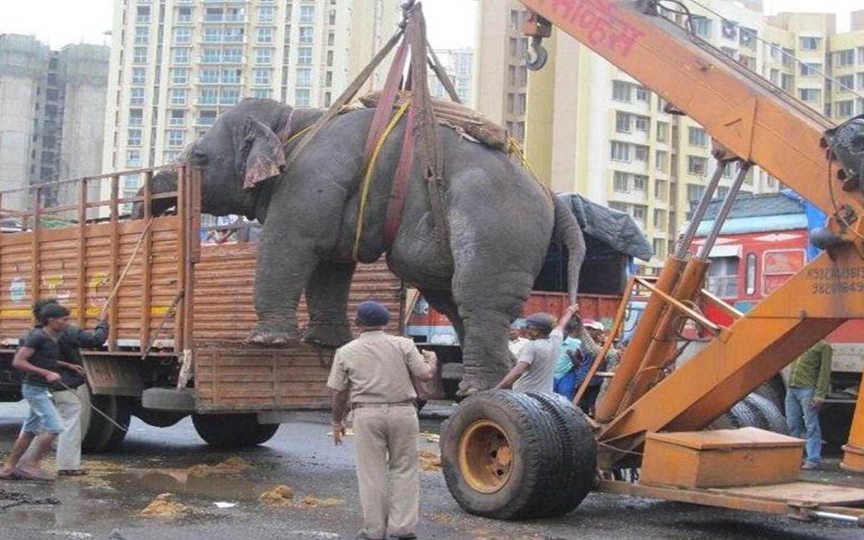 中国制造火爆全球,但你知道印度起重机吗?看完后,让人不可思议