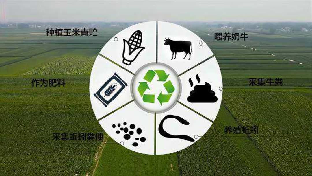 案例赏析:河南祺云乳业宣传片(一分钟版)--中启数智