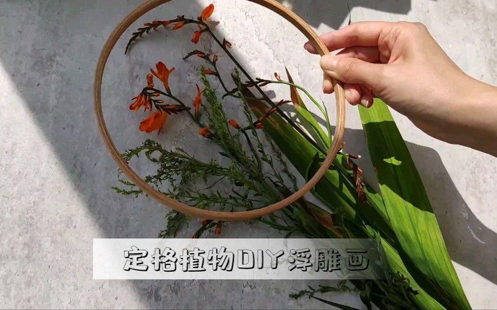 定格植物的美好瞬间石膏浮雕画鲜花制作