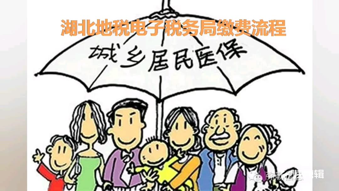 湖北地税城乡居民医保