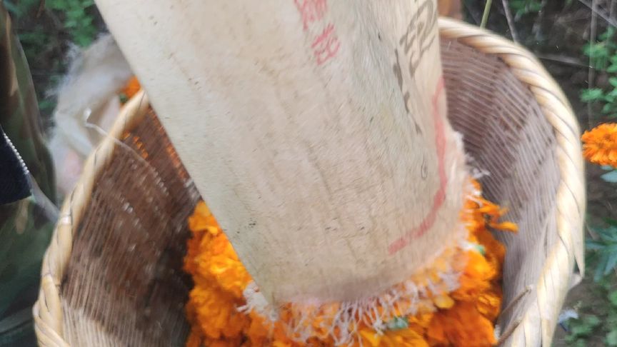 有些花,开的好看也就罢了,药用价值还高,就是收购价低了点!