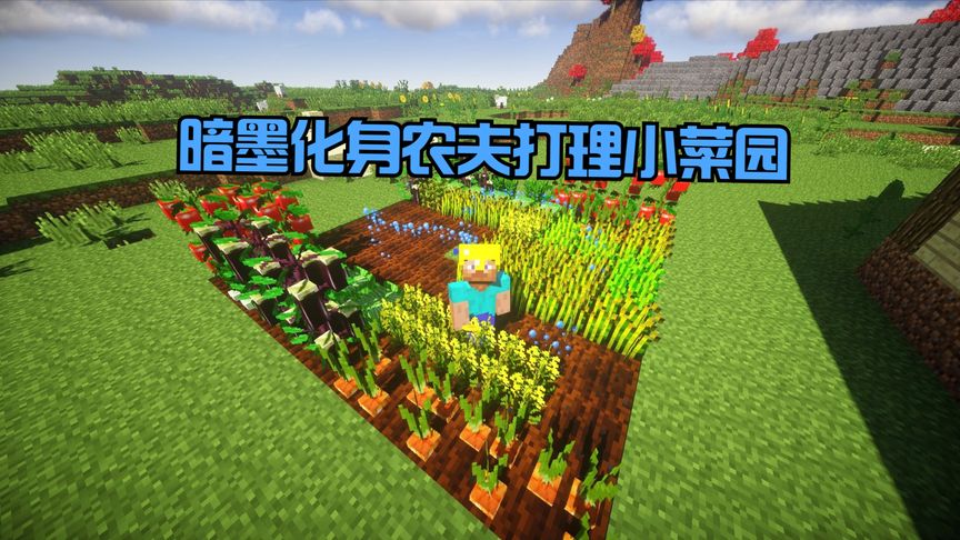 我的世界:暗墨的生存 05 农田这样种蔬菜天天吃不停