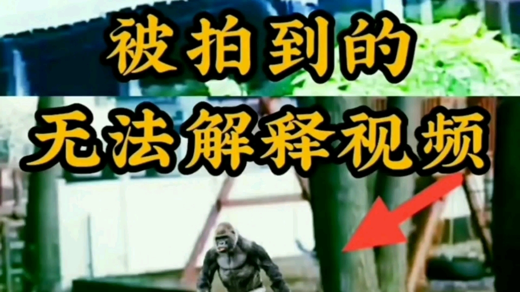 被拍到的无法解释视频