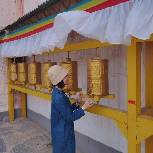 大家都不知道我是小胖 