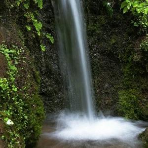 一路欢歌入大海 