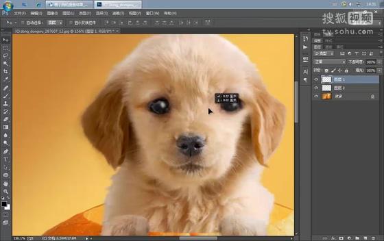 ps技巧 ps钢笔抠图 pscs5 ps动作怎么用