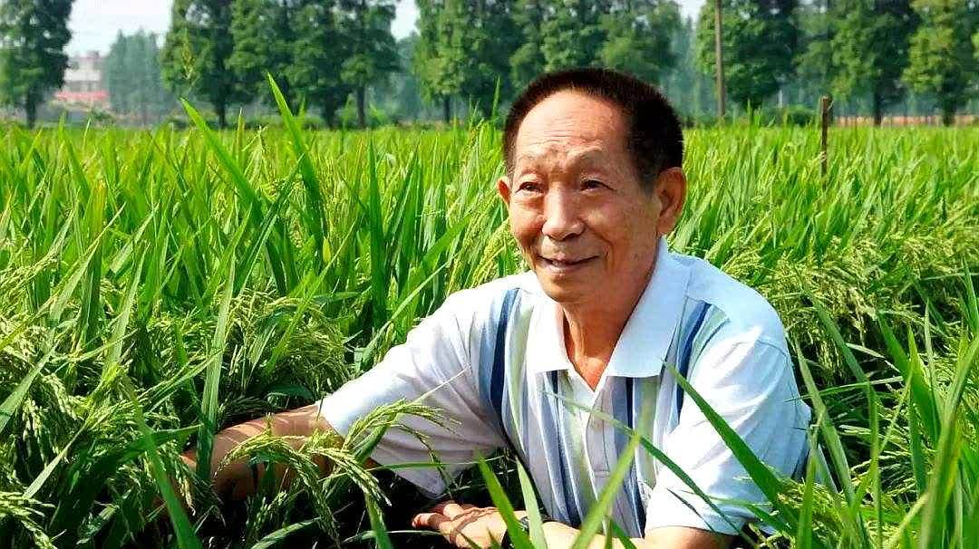 袁隆平发明了杂交水稻,让人们远离饥饿,却不是中国科学院院士!