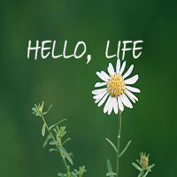 life你好生活 