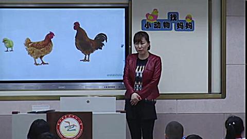 小动物找妈妈_科学_小学(一等奖)-小学科学优质课(2019)