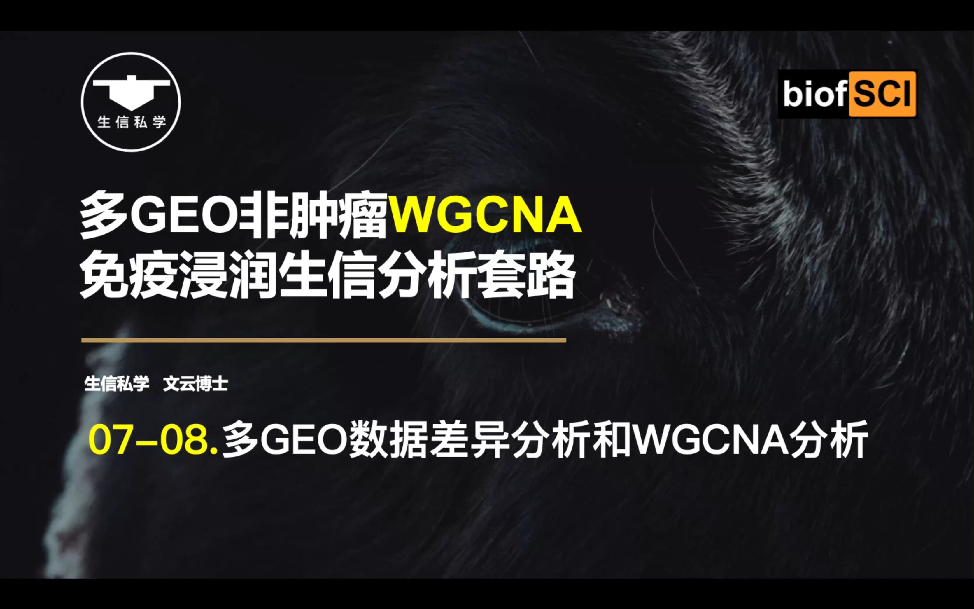 07-08.多GEO数据差异分析和WGCNA分析,零基础R语言快速完成【...