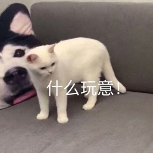 红帽的小号 