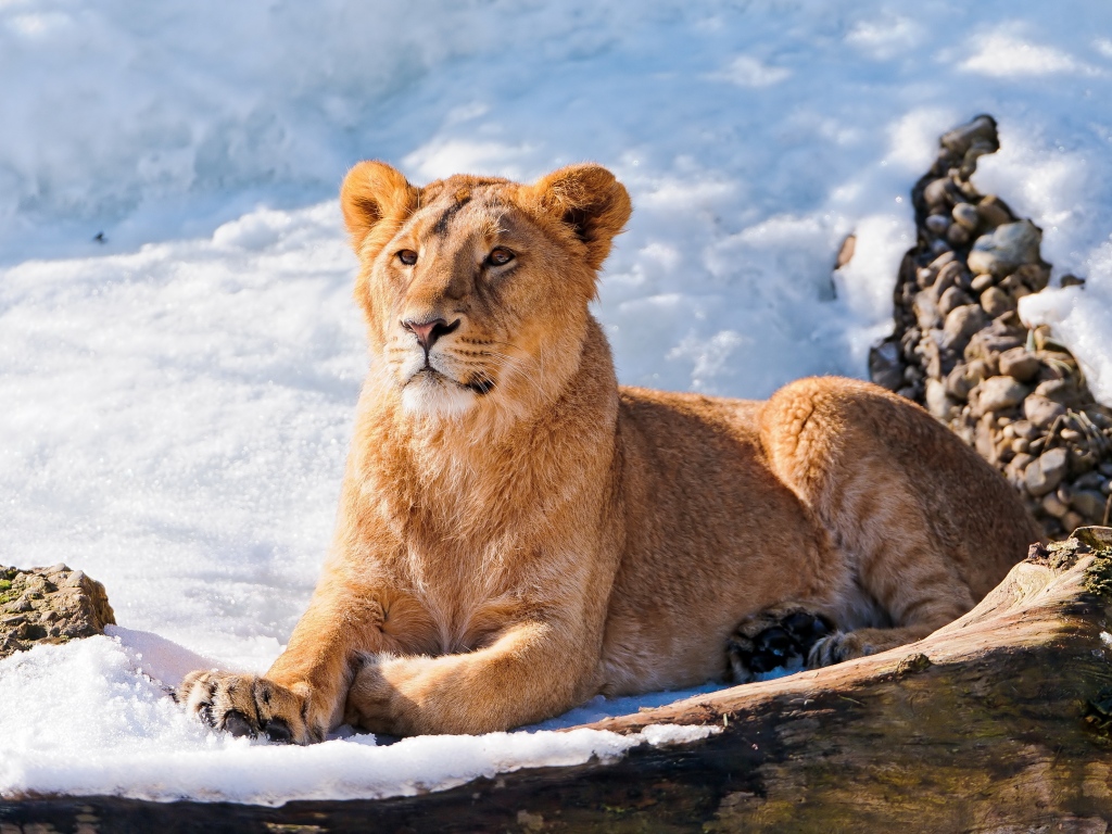 小蜗牛娱乐影视 
