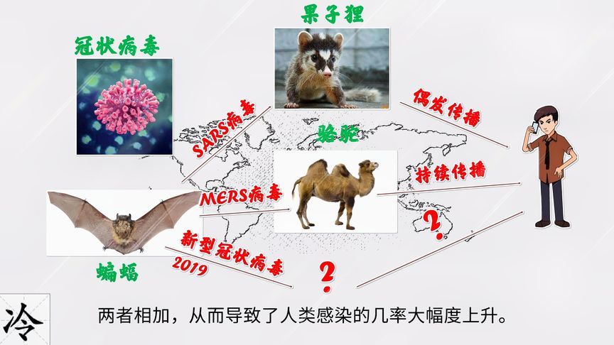 为什么需要寻找病毒的中间宿主,病毒是什么来到?