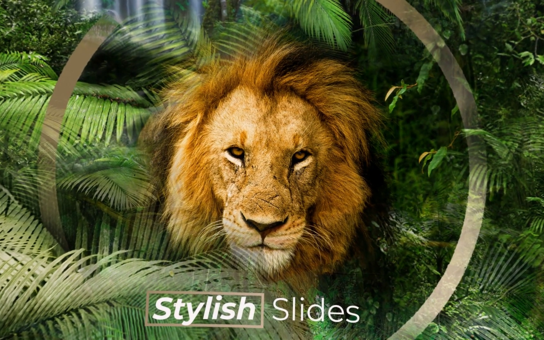 AE模板-户外探险热带雨林国家地理动物植物介绍旅游旅行亚马逊丛林...