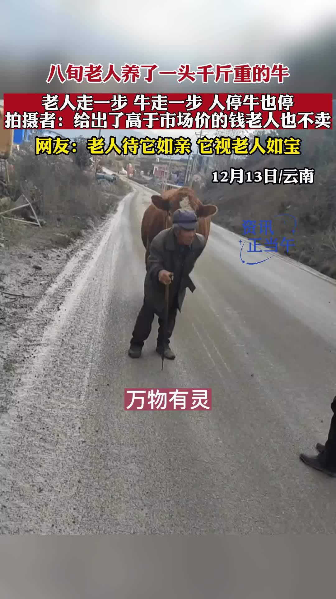 ...社会百态 #生活不易 #说不出的心酸 #万物……版本过低,升级后可...