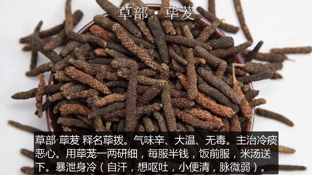 荜茇-价值极高的中草药