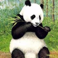 长大后我一定来找你 