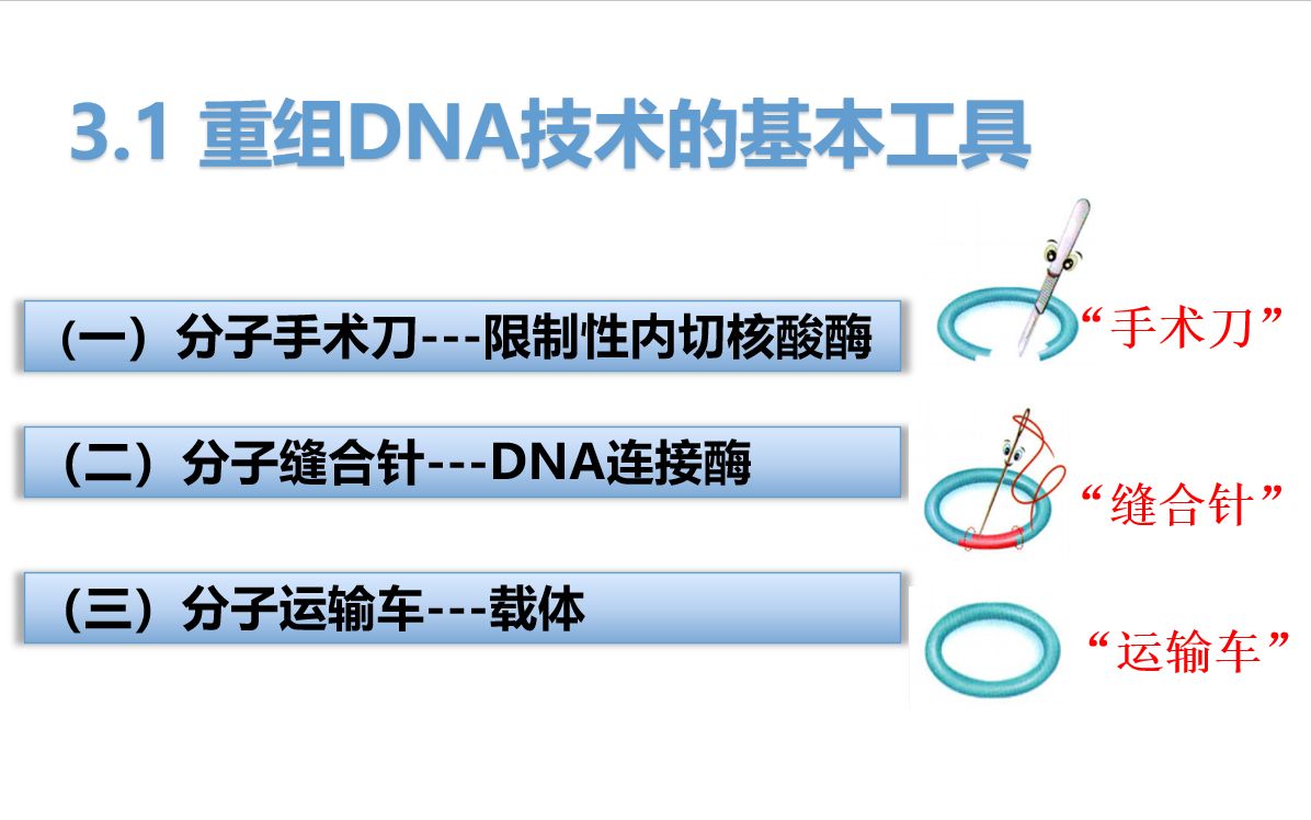 重组DNA技术的基本工具第一课时(万江中学)