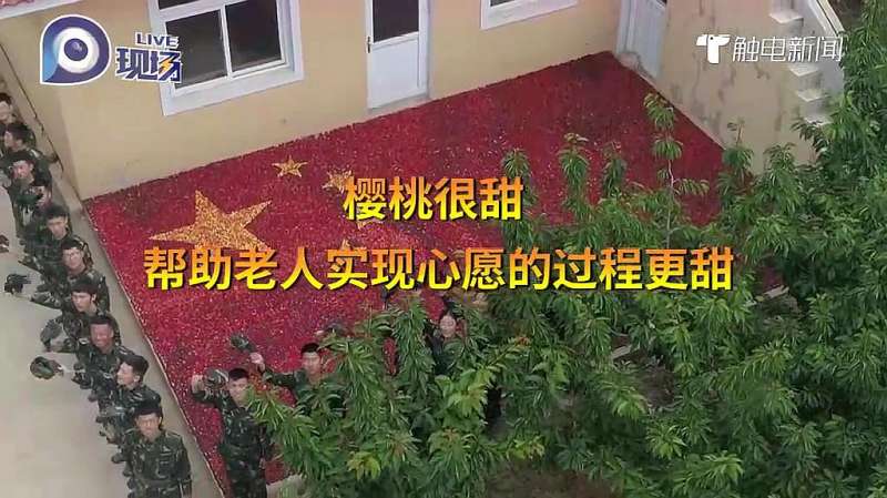 大学生用樱桃拼出国旗!原因让人泪奔