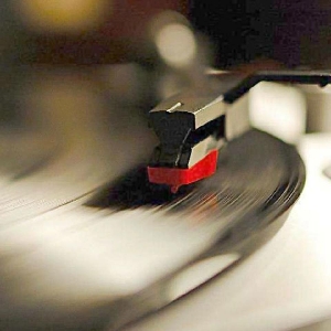 自由自在的蝌蚪 