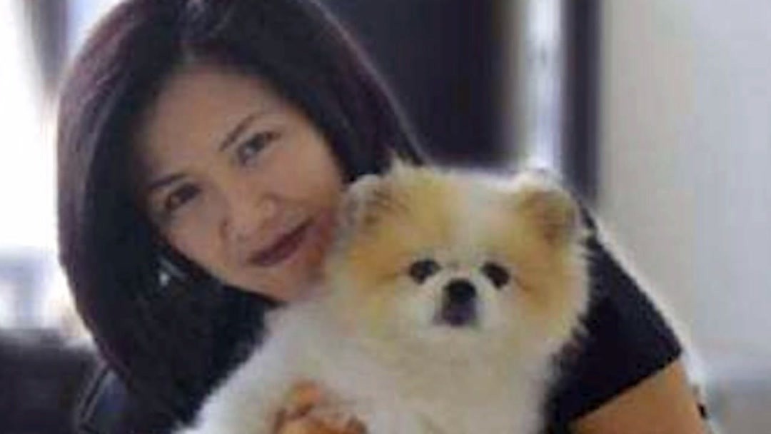 全球首例!香港确诊狗感染病毒:系确诊患者的爱犬!