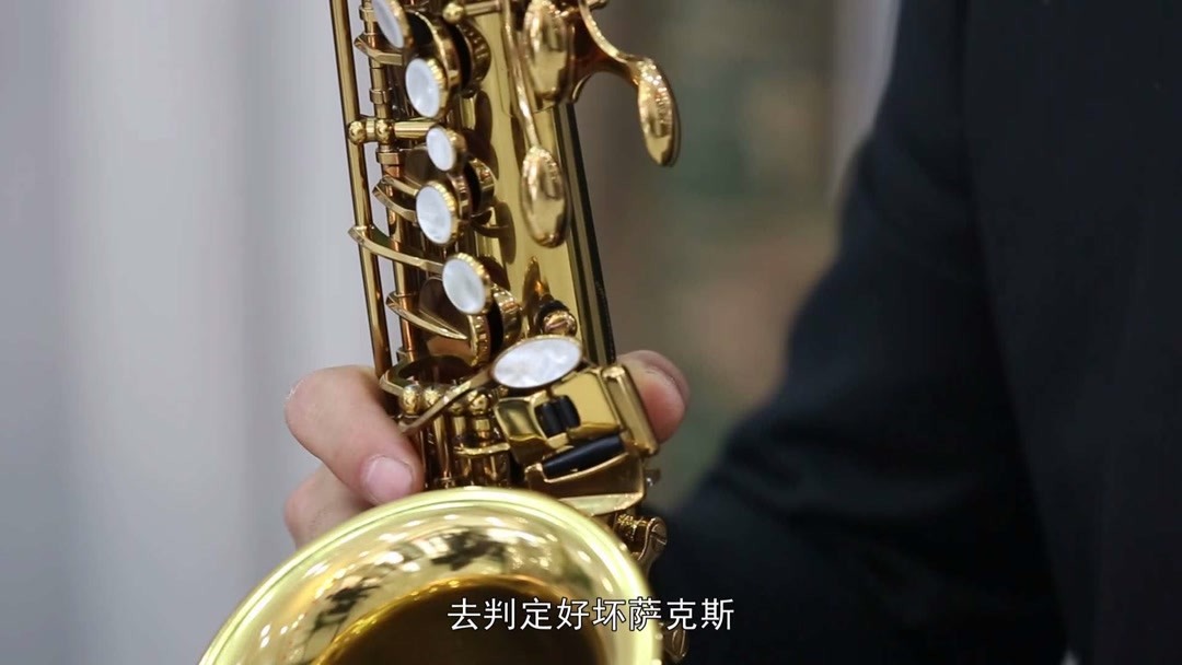 怎么区别好坏萨克斯/罗林斯萨克斯怎么样