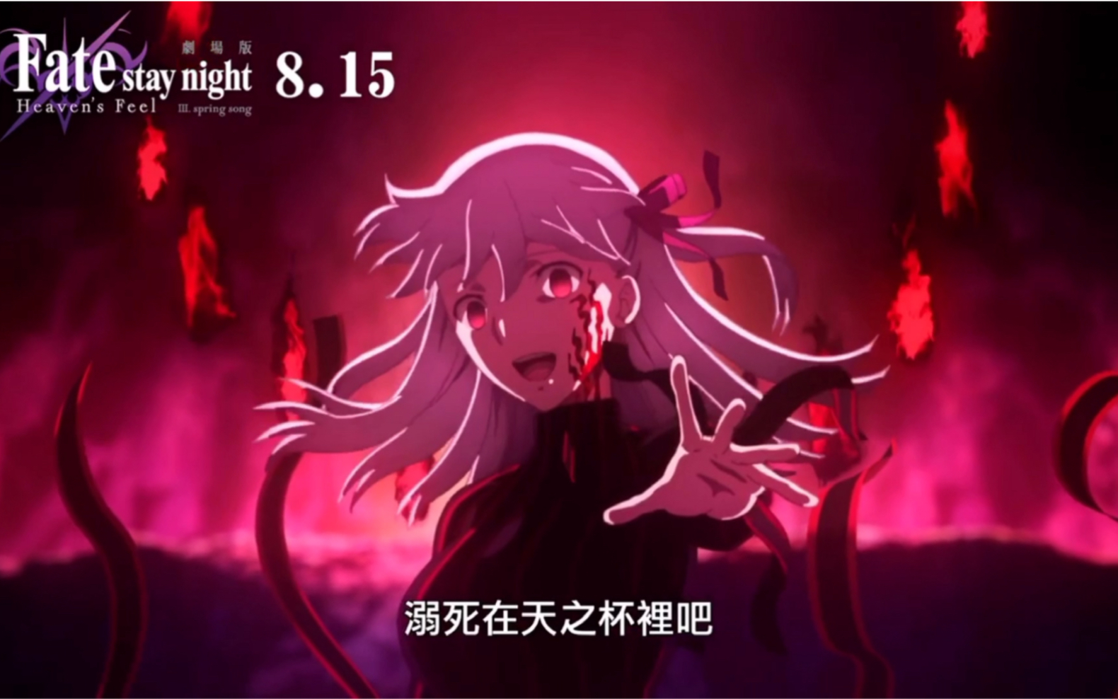 剧场动画《Fate/stay night [Heaven's Feel] 》ߎ�最终章 台版中字预告...