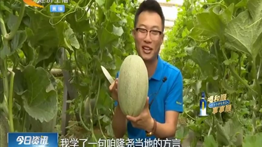 高甜度、高产出!邢台:小身材里藏着致富经,让村民收入翻十倍