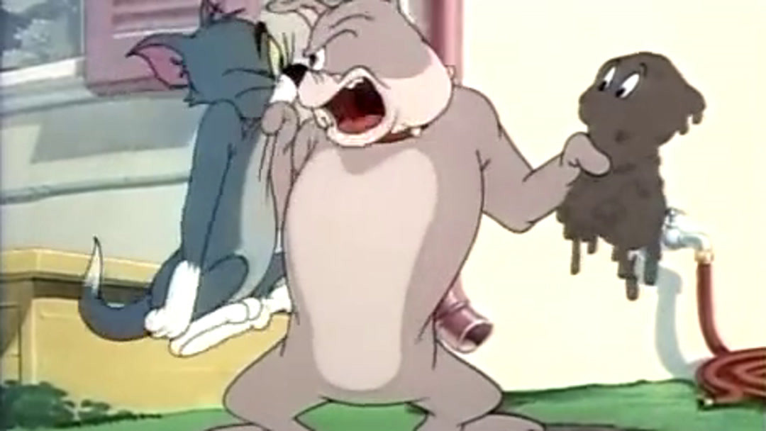 猫和老鼠之听话的小狗