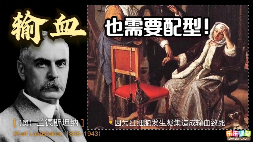 到底什么是熊猫血,你可能理解错了,太稀有了!7.2.26血型