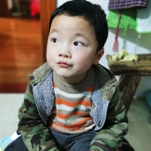 杨树叶爸爸 