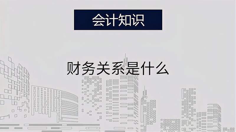 2分钟秒懂财务关系是什么