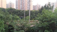 ...(Z257次),本务机车:武局南段HXD1D0013,列车车体:上局沪段(沪)25T
