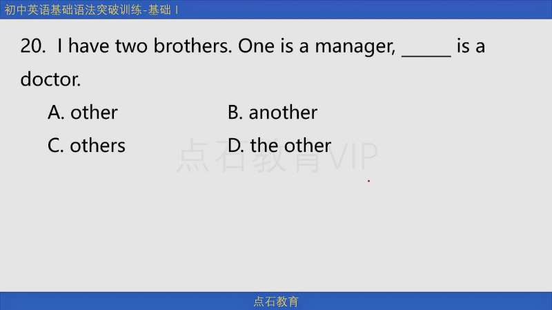初中英语语法突破 基础训练 第20题 不定代词