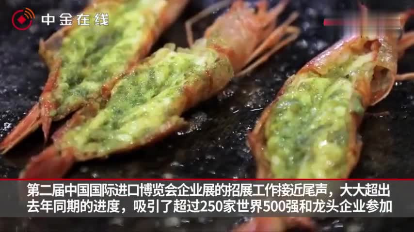 第二届进口博览会吸引世界500强和龙头企业超250家