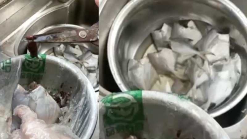 女大学生回家处理海鲜7分钟一盆,姐姐:她是食品安全专业,在校经常做...